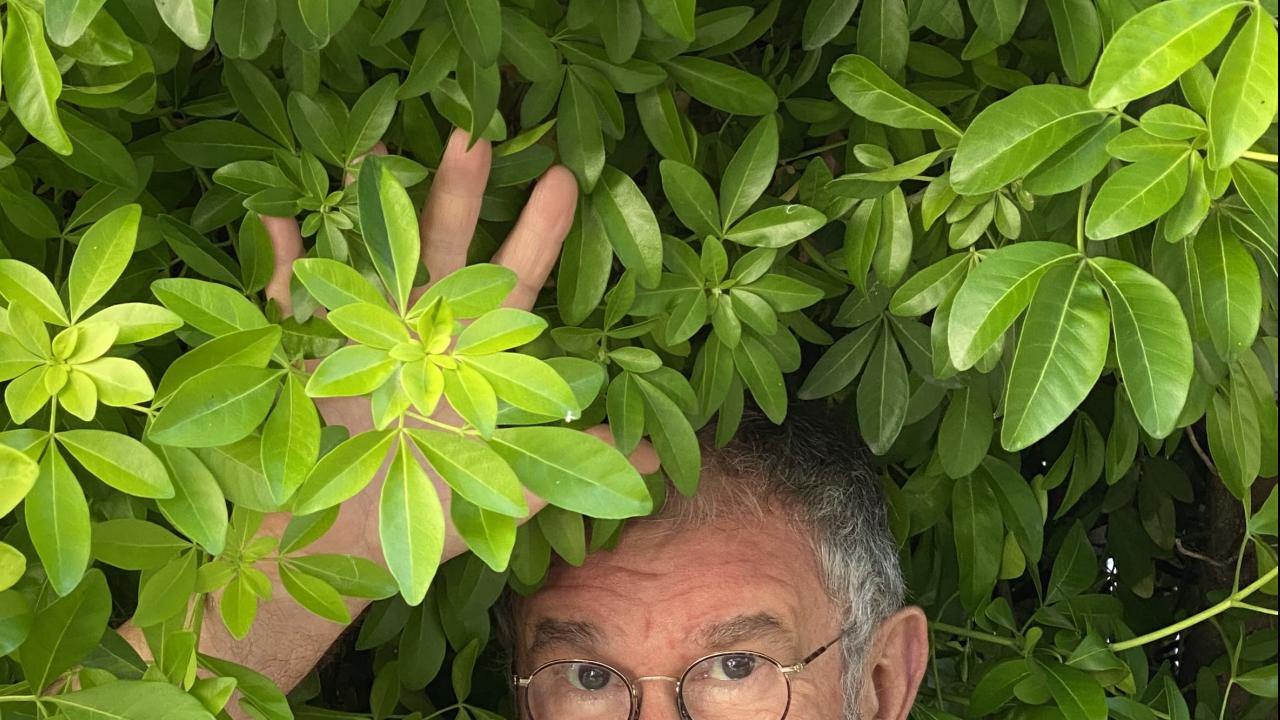 Richard Gotainer | Le Trianon Transatlantique